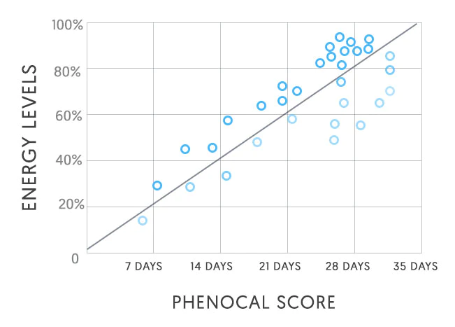Phenocal™ Official Website - The #1 Rated Weight Loss Supplement